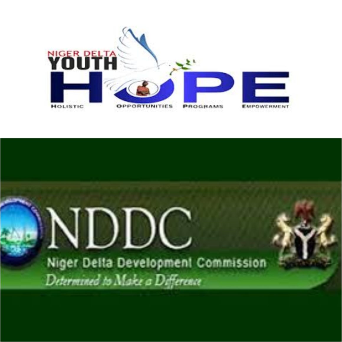 How To Apply for NDDC Project HOPE Recruitment via ndjobsskillsdb.ng ...