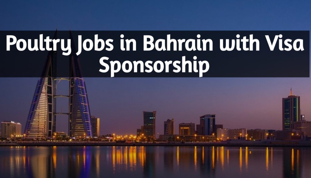 Poultry Jobs in Bahrain with Visa Sponsorship - De Round Table