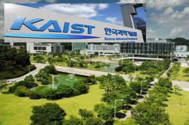 KAIST University Undergraduate Scholarship 2025 (Funded) - De Round Table