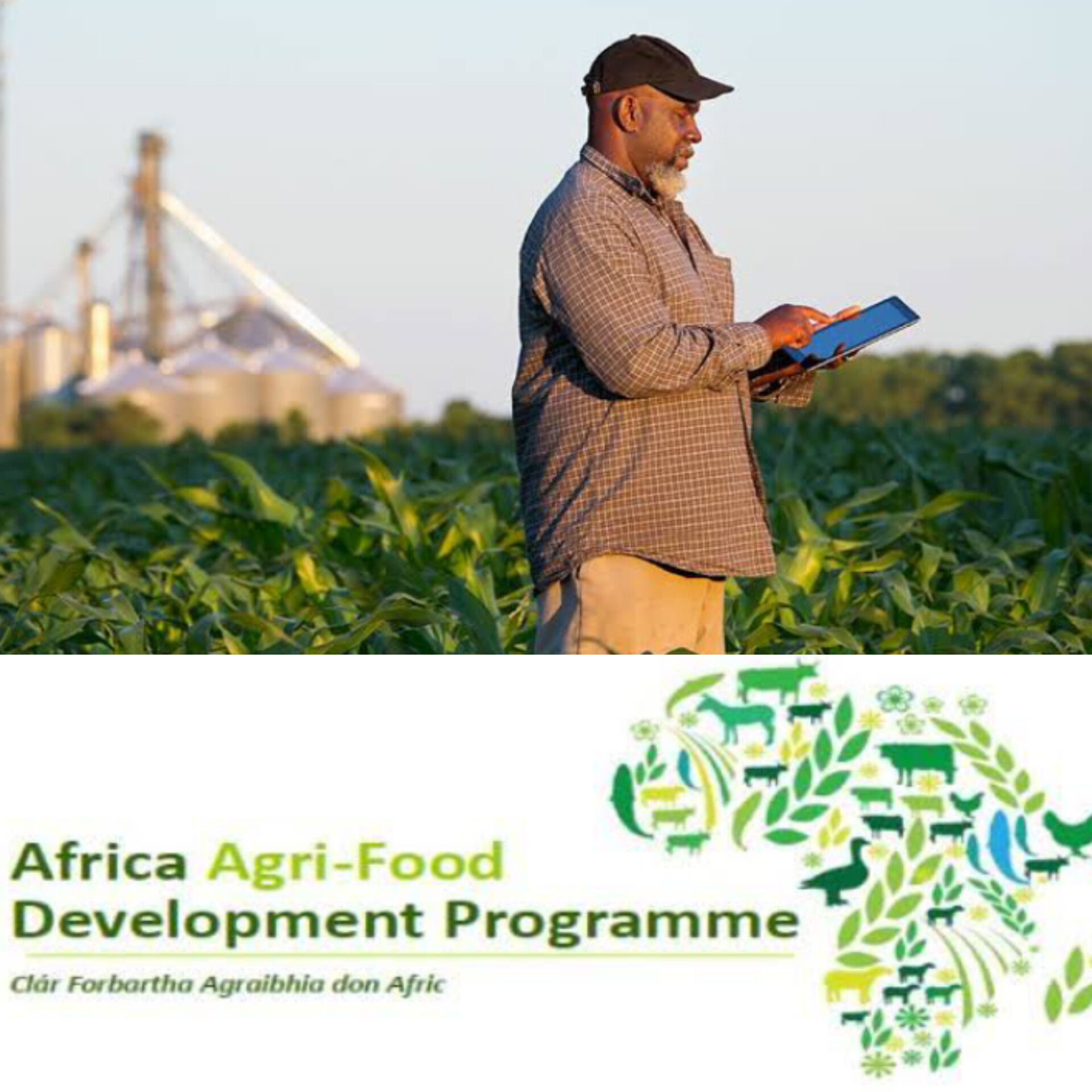 Agri-Food Development Programme 2025/2026 for Agri-Food Companies in Africa - De Round Table